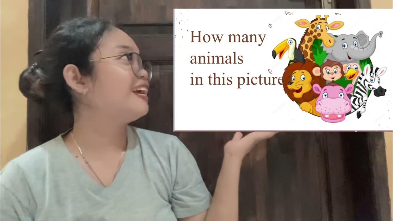 Let’s Learn Animals! - YouTube