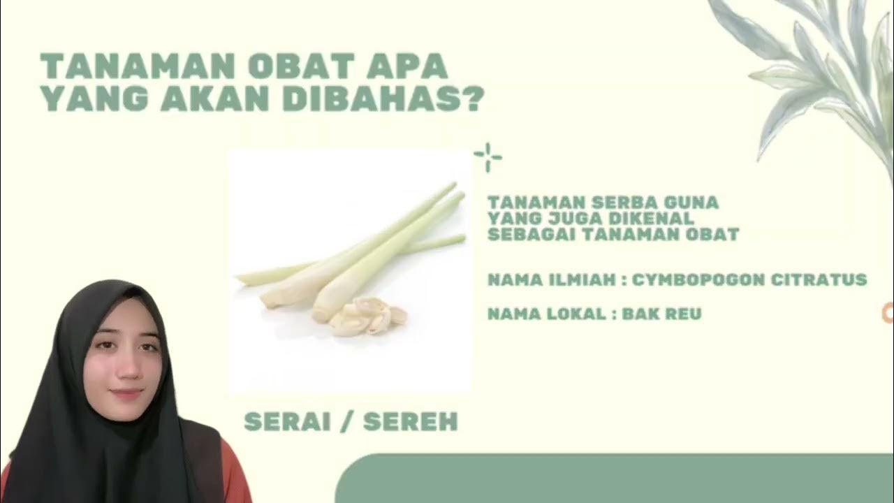 Aura Diffa Adisma / 231010220025 / Video pembelajaran Tanaman Obat / Daun sereh - YouTube