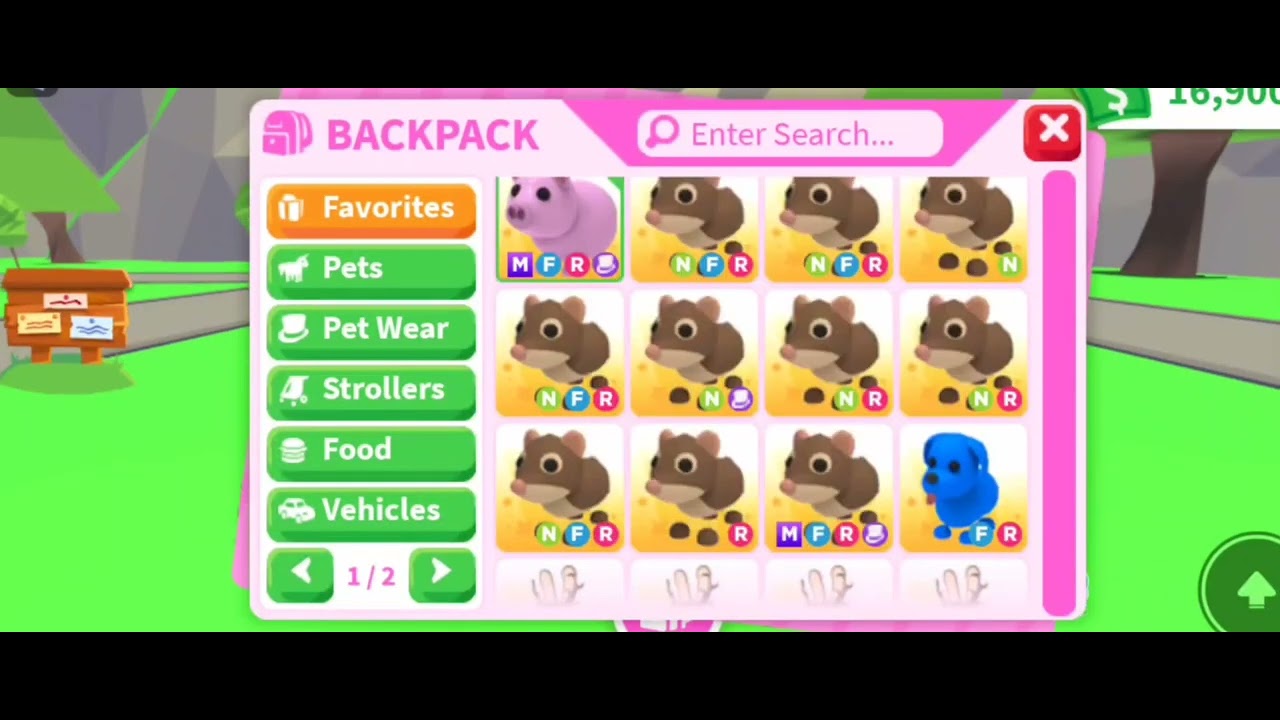 MY OFFER FOR A MEGA SHREW !!!!!!🐀💖 - YouTube