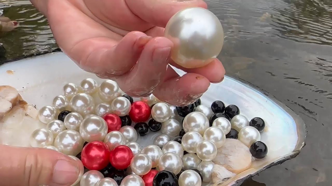 The pearl oyster gave me a big surprise. I have never seen such a huge ...