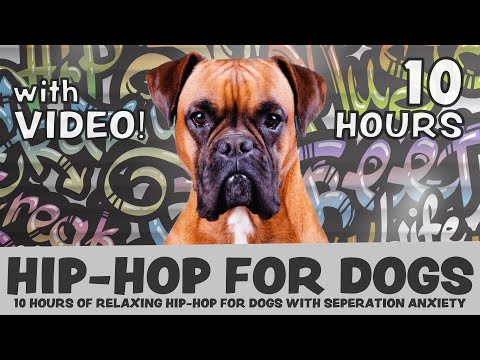 10 Hours of calming Hip-Hop music for dogs with separation anxiety - with video