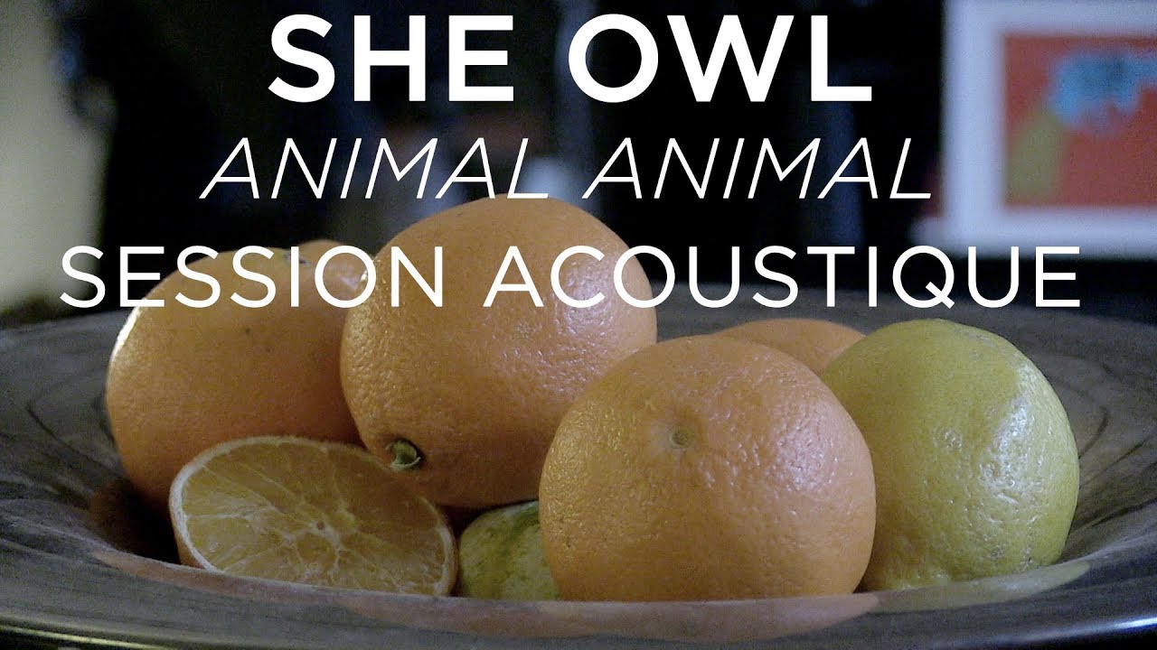 #930 She Owl - Animal Animal (Session Acoustique) - YouTube