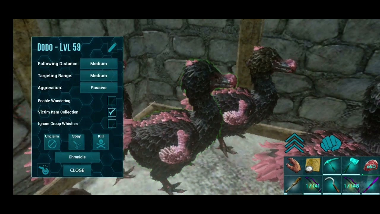 op small dodo 🤣🤣🤣🤣🤣😄😄😄👌 - YouTube