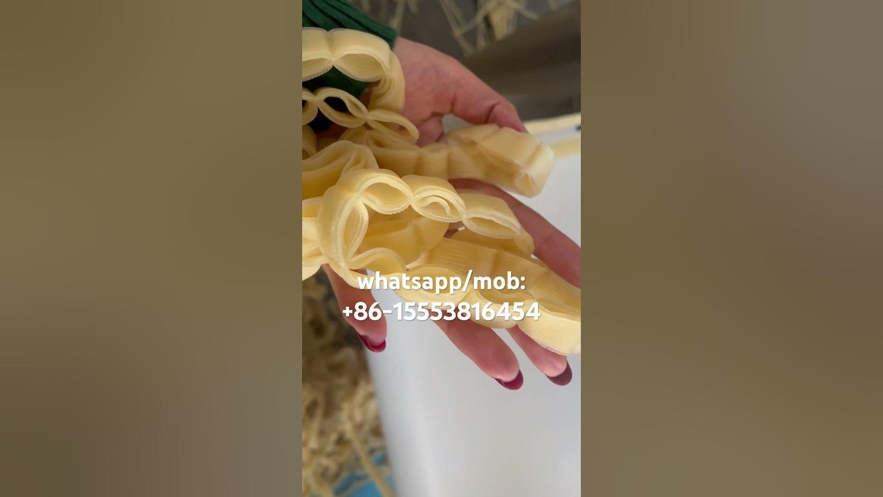 Extrusion four layers turtles snacks extruder line #foodextruder #jinan ...