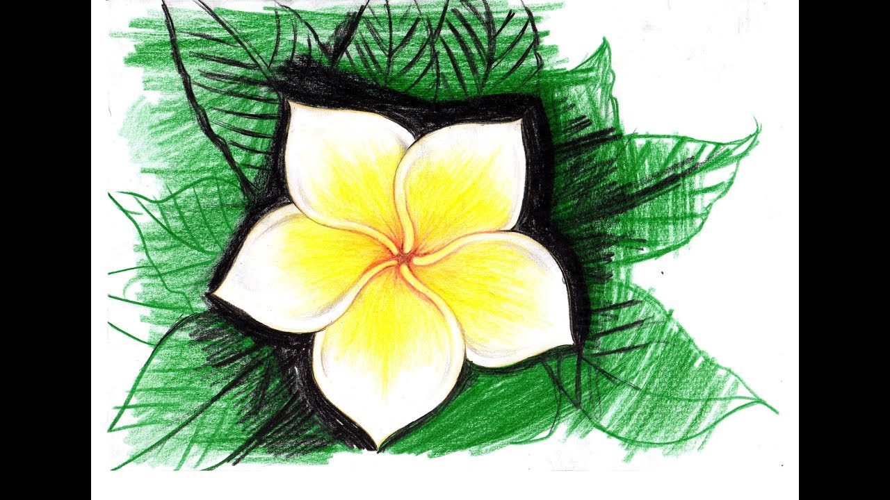 How To Draw a Flower step by step In 6 Minutes! - YouTube