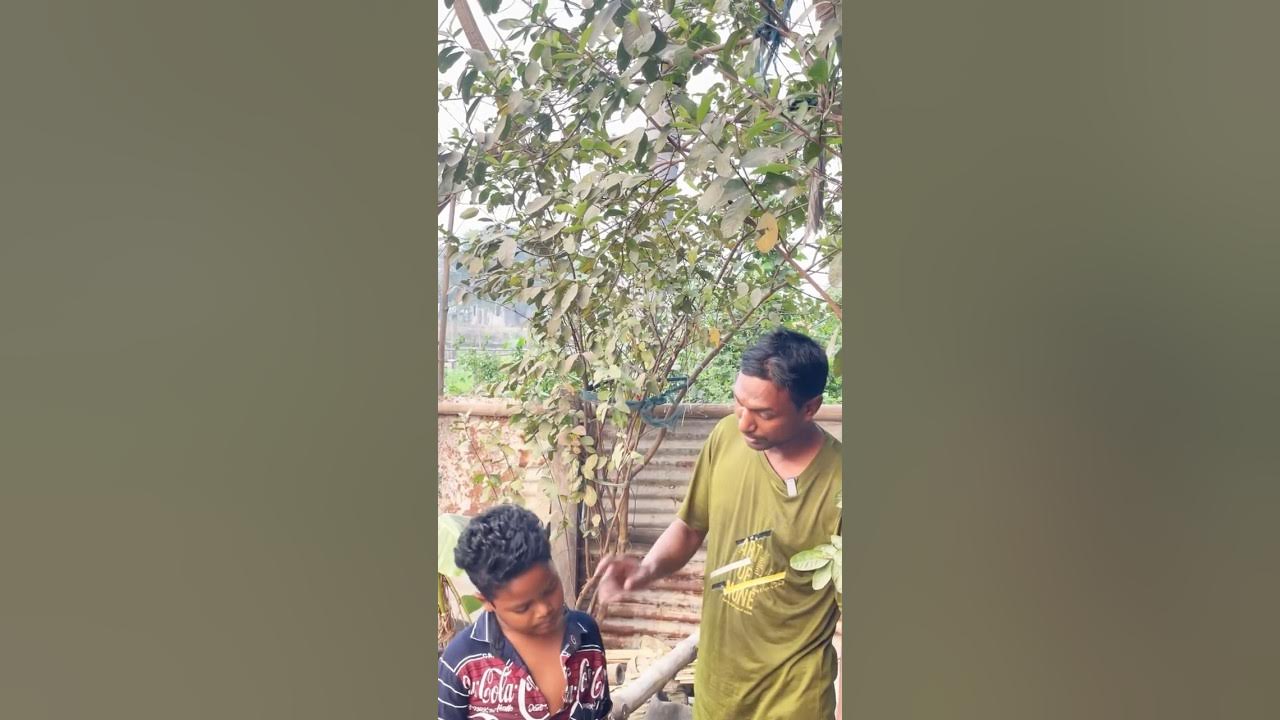 ফানি ভিডিও/Funny video/sakin khan/Billal/ #funny #lsakin khan/বাংলা নিউ শর্ট ফিল্ম/Bengali Short ...