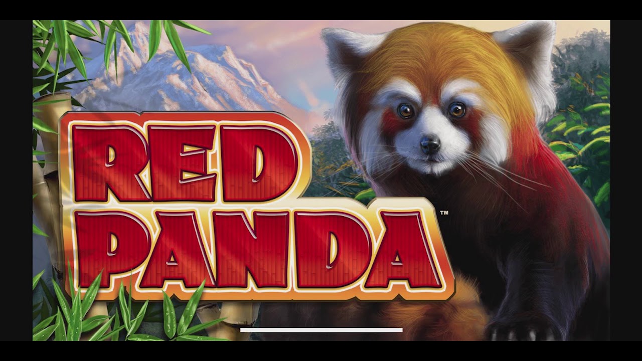 Red Panda - Now On Play.SanManuel.com - YouTube
