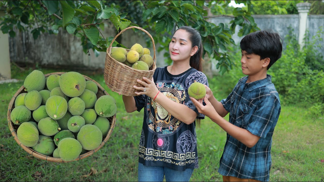 Pick Santol Fruit and cook food helped by my brother | Santol Fruit ...