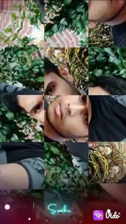 TikTok Shagor - YouTube