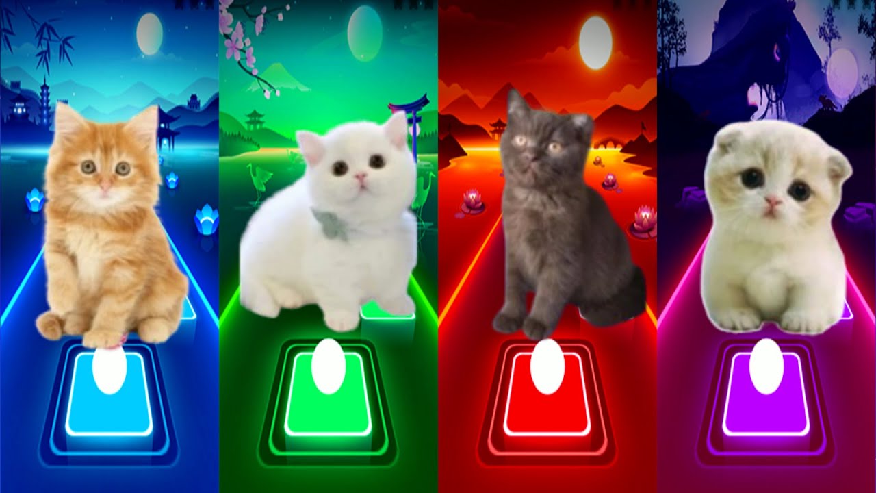 JISOO FLOWER 🎧 JENNIE SOLO 🎧 BTS DYNAMITE 🎧 WELLERMAN 🎧 CATS SONG TILES ...