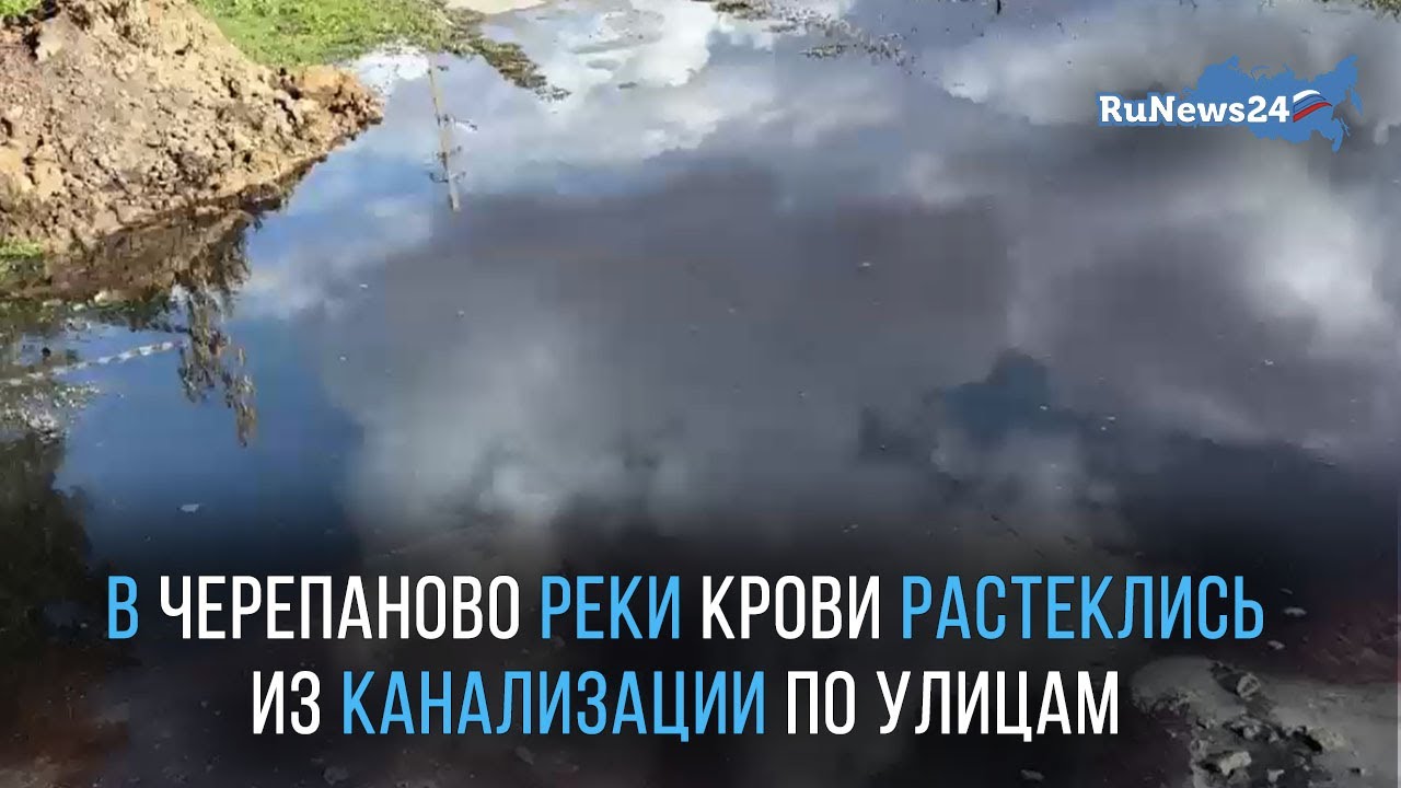 В Черепаново реки крови растеклись из канализации по улицам/ RuNews24 - YouTube