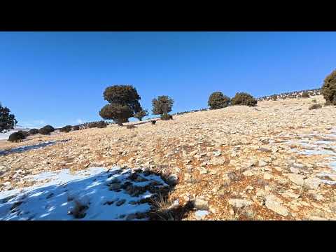 Çok net Tavşan avı Ferma [FullHD]