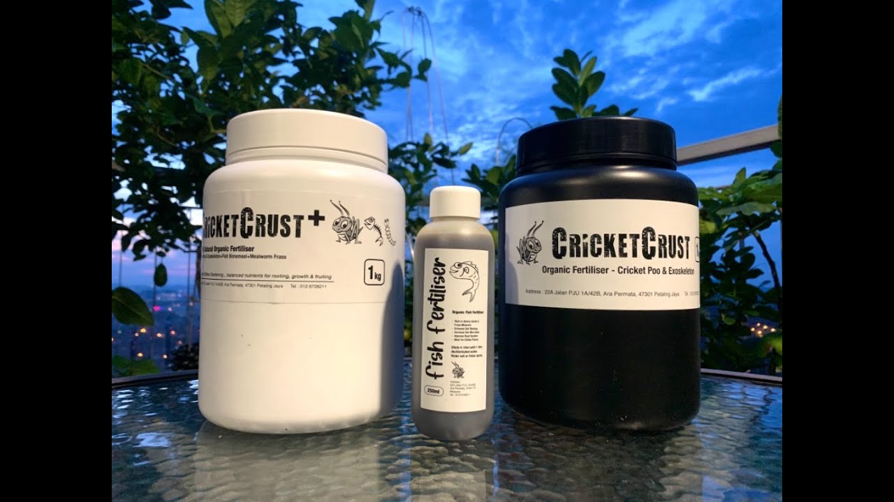 BASIC Organic Nutrients for Edibles Gardening - How to use CricketCrust ...