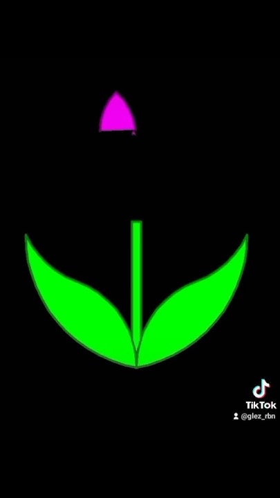 Tulipán Hecho Con Python Pythonprogramming Python Programacion Shorts Youtube 1165