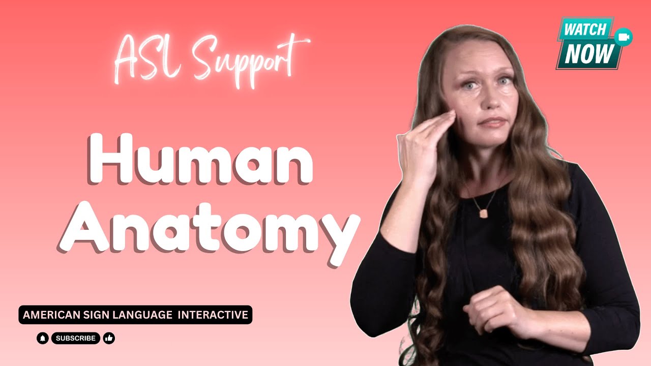 Bone Organ Muscle ASL FS2U11BOMC32 - YouTube
