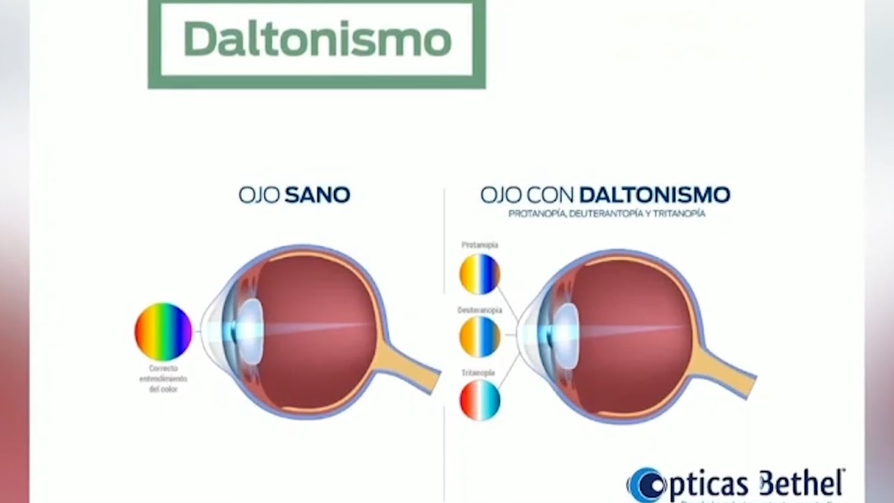 ¿Cómo identificar el daltonismo? - YouTube