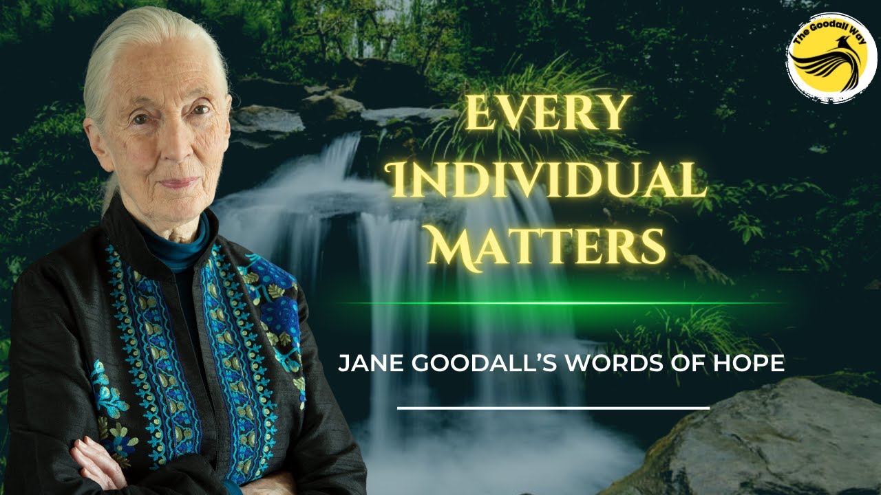 This One Truth Changed Everything | Jane Goodall’s Most Powerful Lesson ...