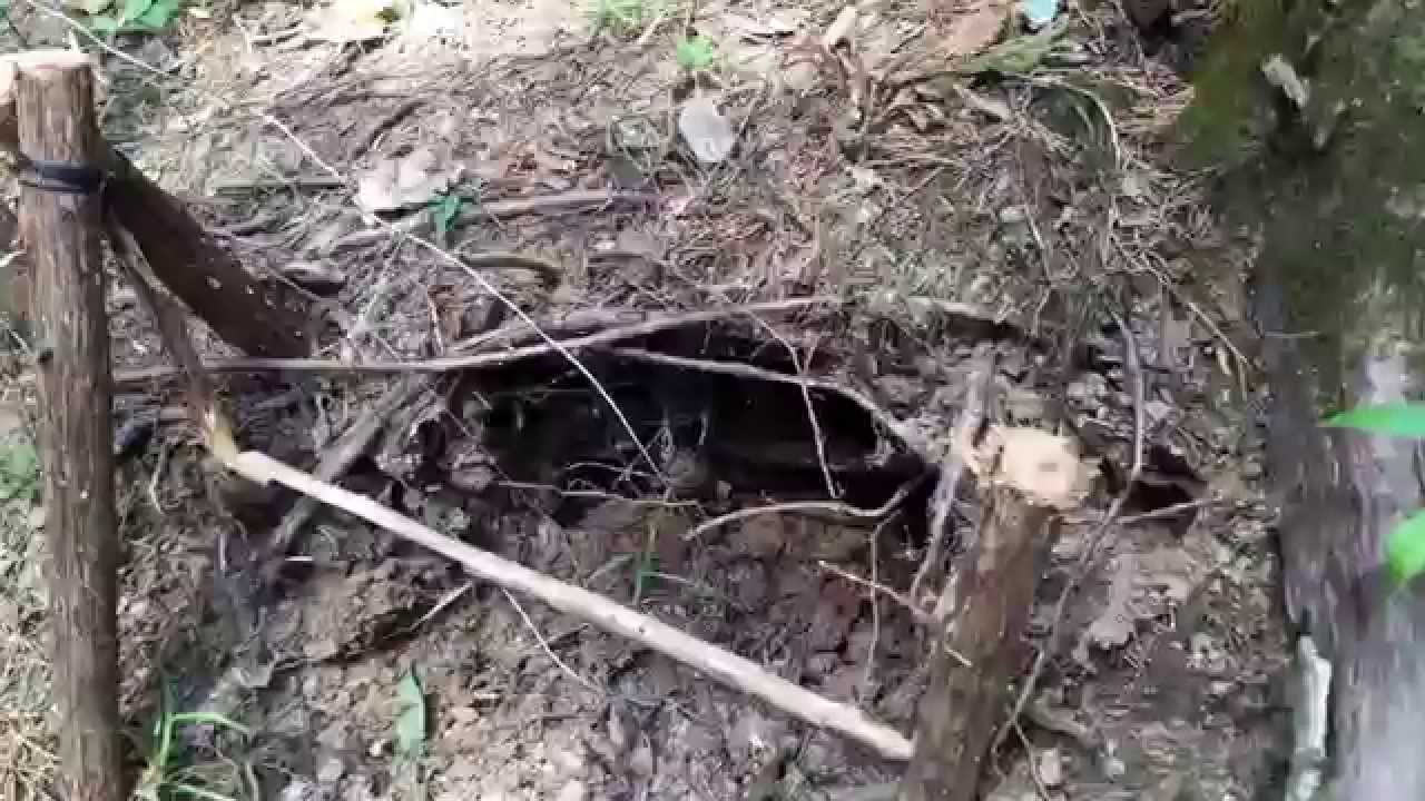 Primitive trapping - den set spring snare - YouTube