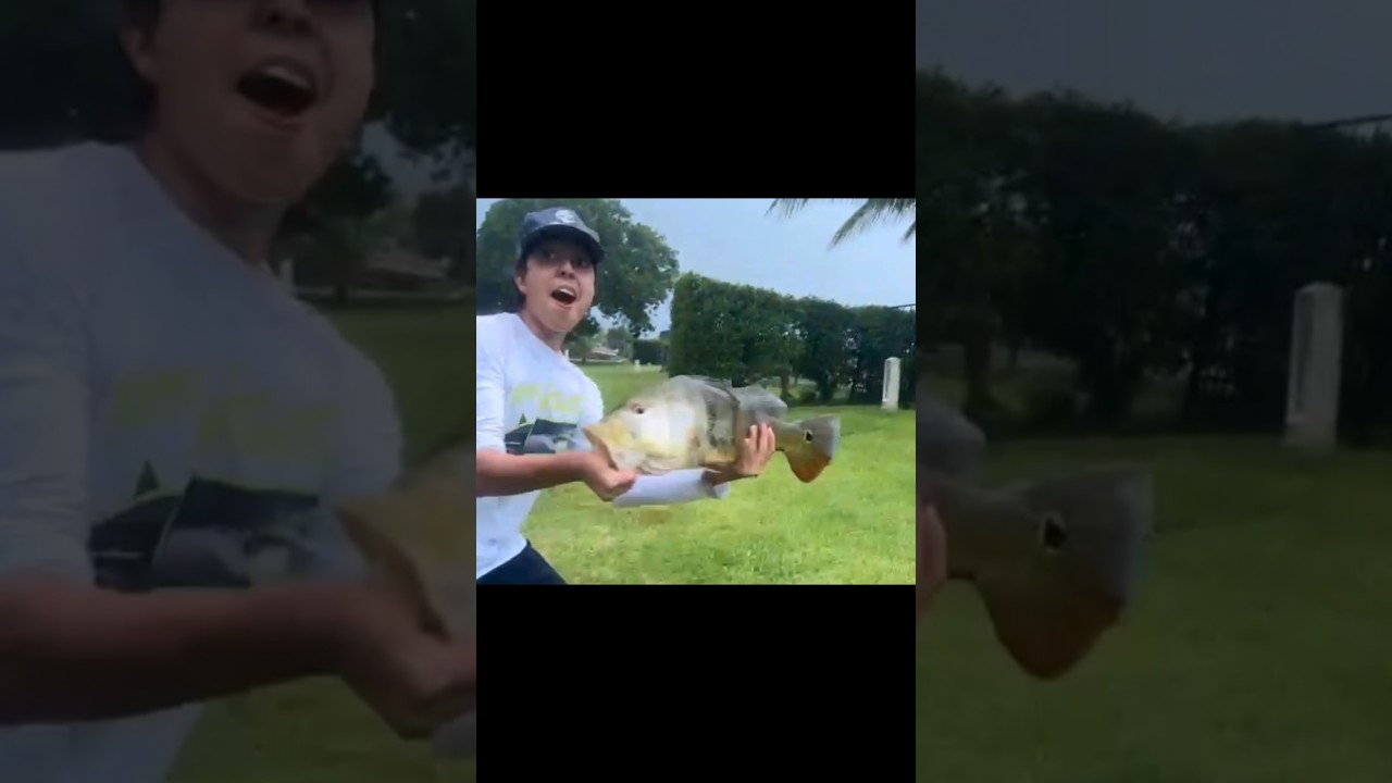 Small Fish Vs BIG FISH!😱🤣 #shorts #fishing - YouTube