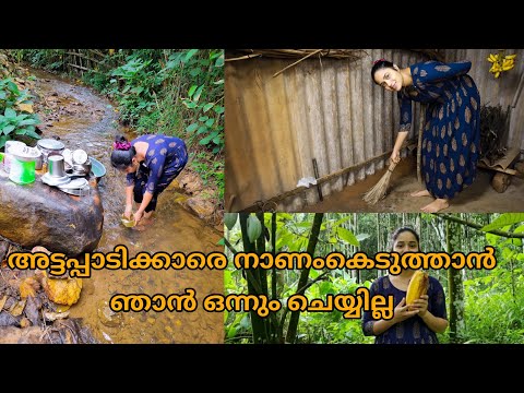 അട്ടപ്പാടിക്കാരെ നാണംകെടുത്താൻ ഞാൻ ഒന്നും ചെയ്യില്ലട്ടോ /Day in my life /Malayalam /Saranyas beauty