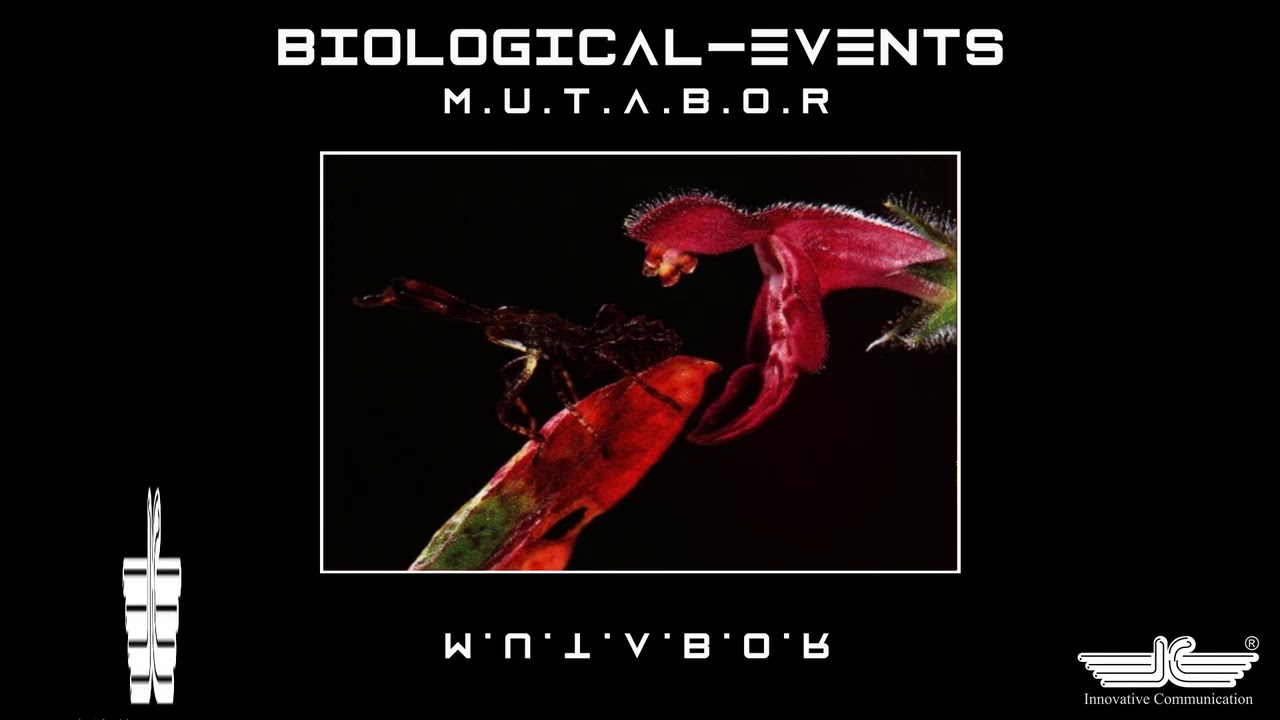 BioLogICal-Events – Mutabor - 1997 - [Full 62m Album] - YouTube