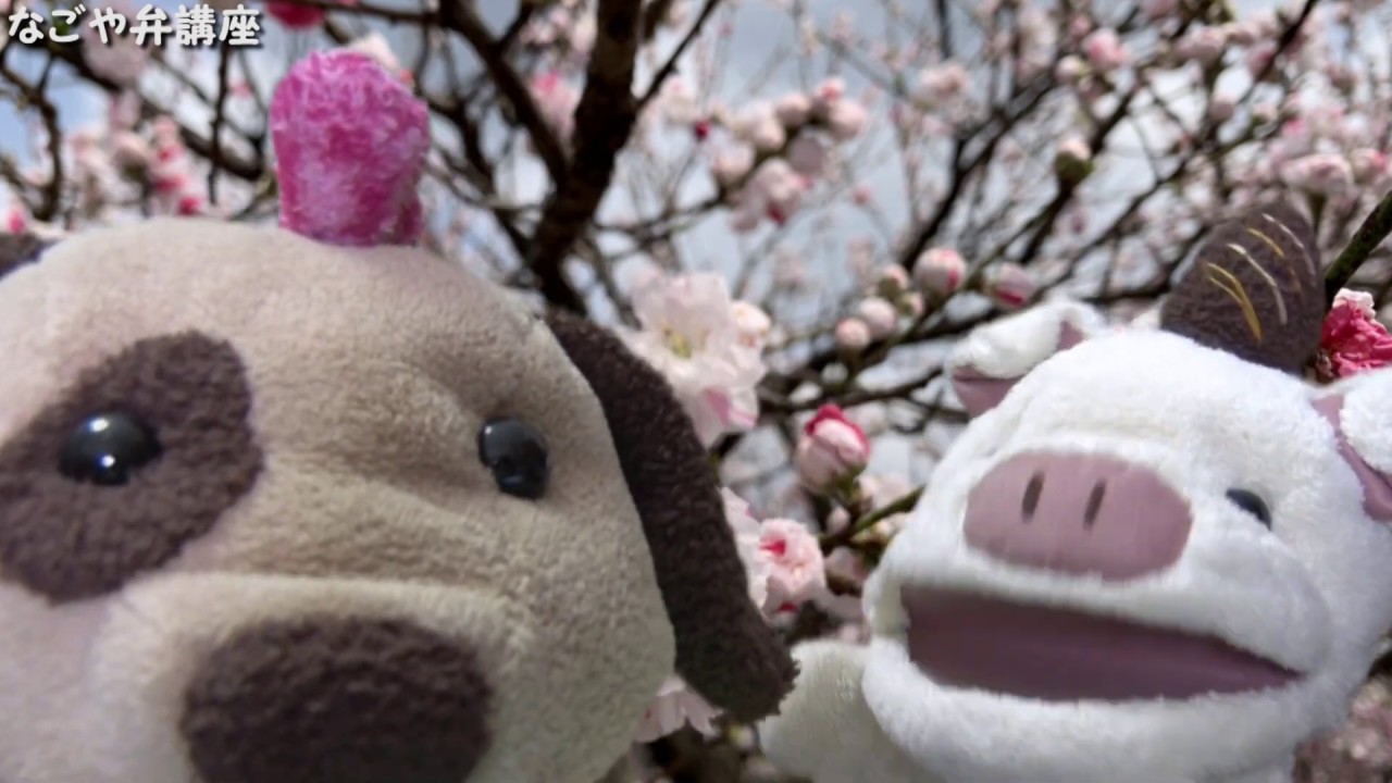 「なごや弁講座 ～Nagoya dialect lecture～」Vol.63 スペシャル企画満載！ - YouTube