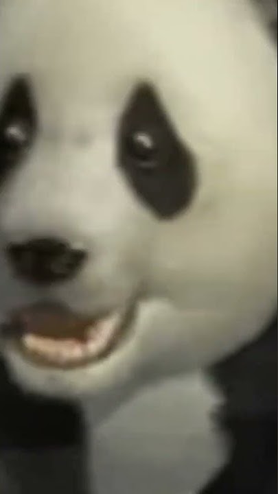 tekken 3 panda full ending - YouTube