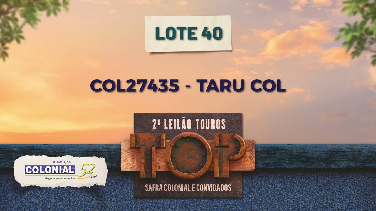 LOTE 40 COL 27435 - YouTube