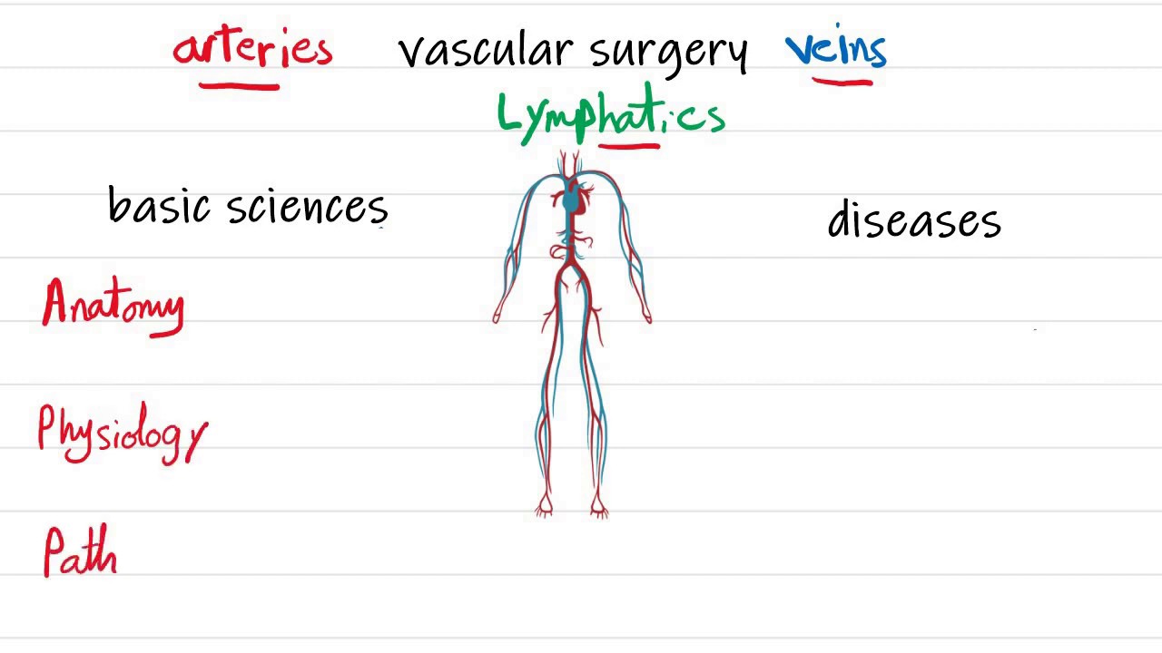 Vascular Surgery Introduction - YouTube
