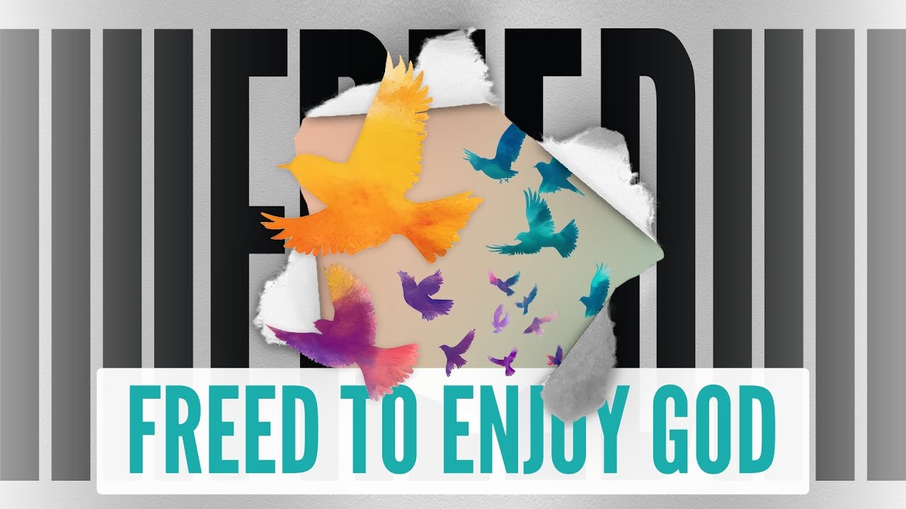 Freed to Enjoy God | Exodus 20:1-3 | Harbor Church Sermons - YouTube