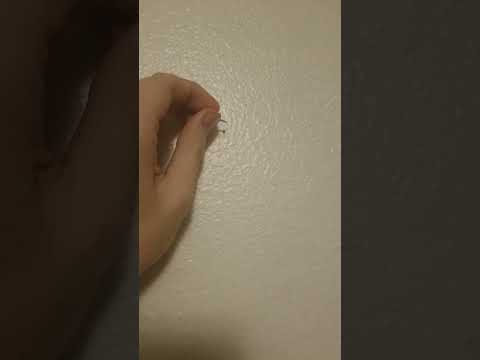 How to put a thumbtack in the wall - YouTube