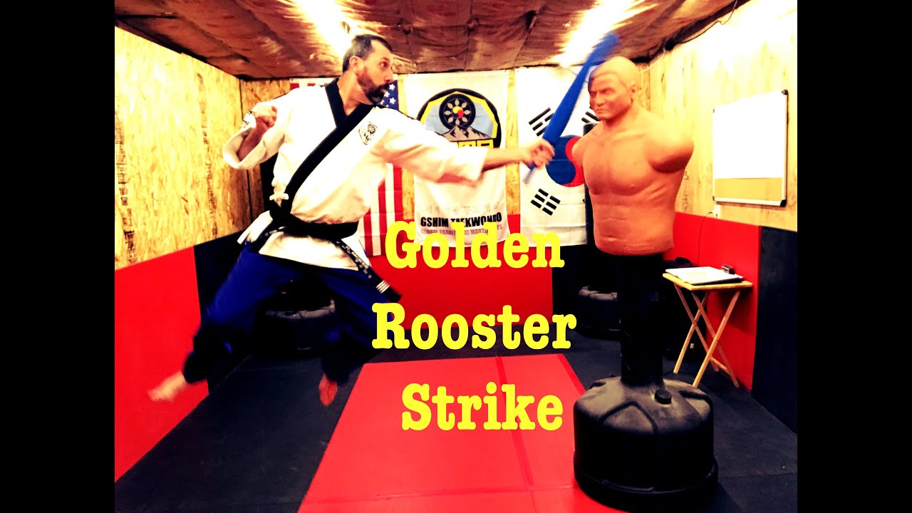[Stick Fighting] Golden Rooster Strike For Self Defense - YouTube