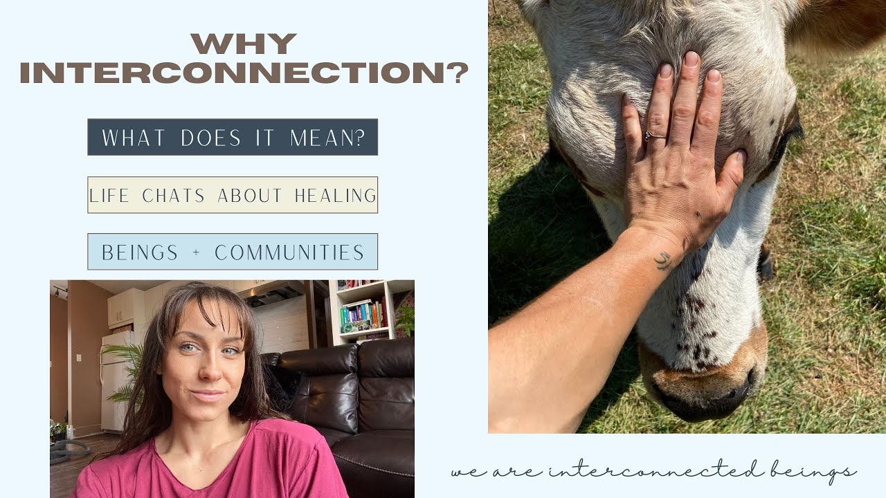 Why interconnection? What does it mean? | We are Interconnected beings ...