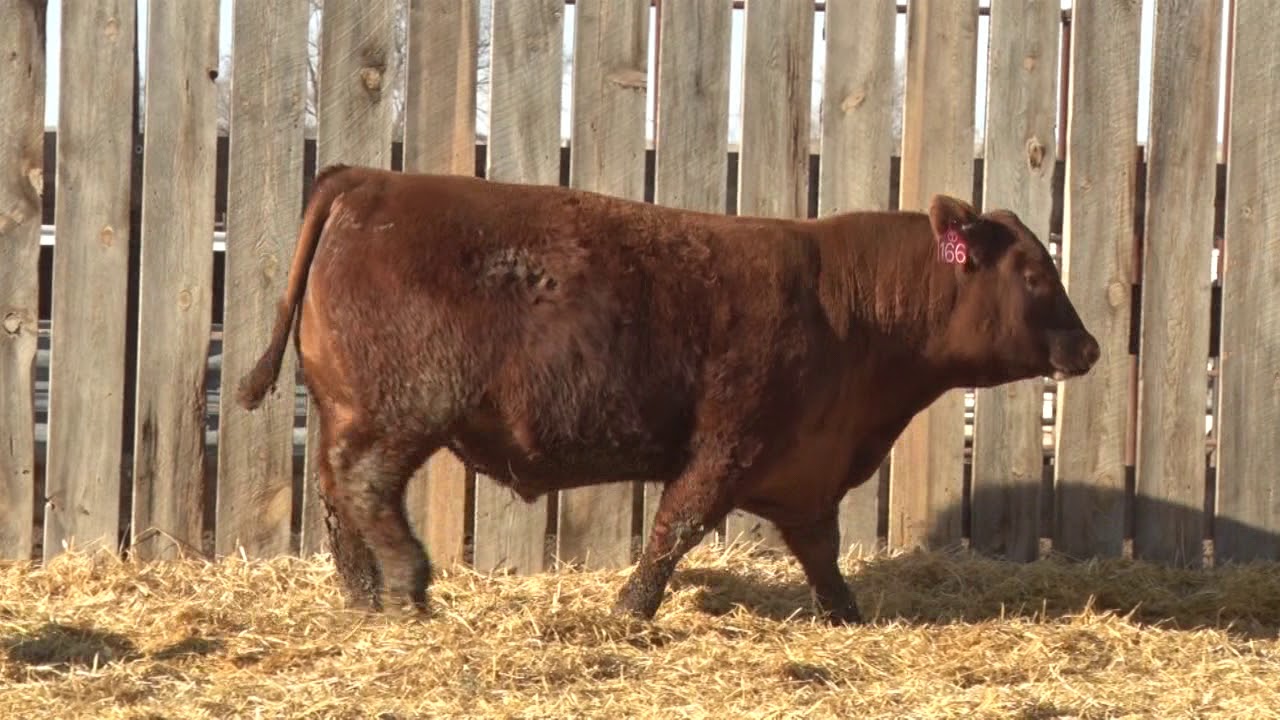 Thomas Ranch lot 166 - YouTube