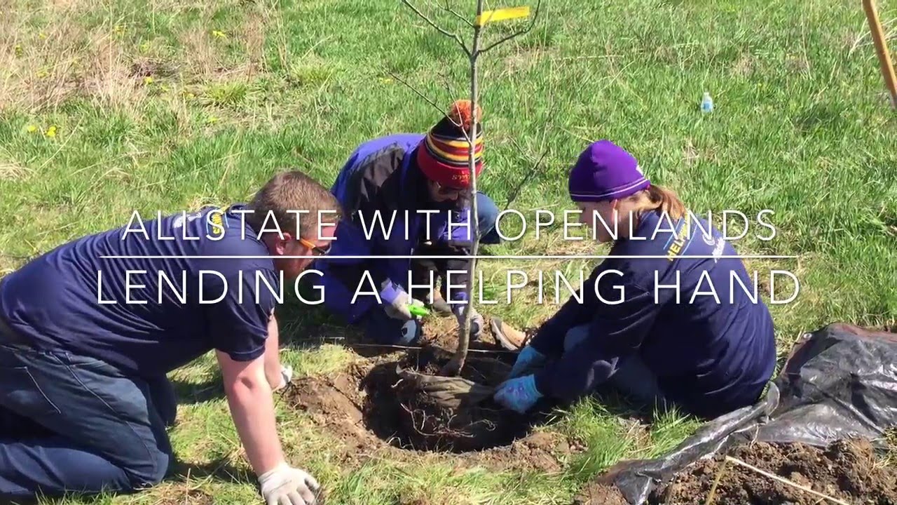 Allstate With Openlands: Lending A Helping Hand - YouTube