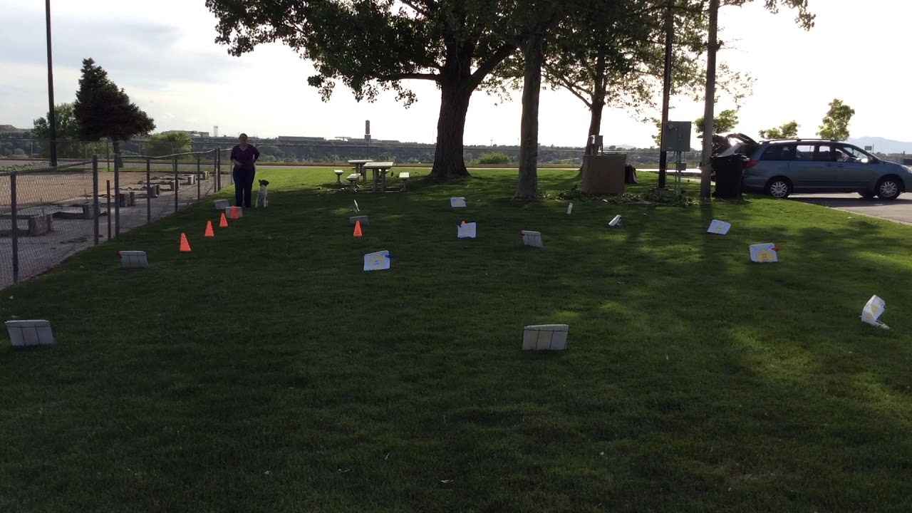 May 13, 2020 Rally Novice - YouTube