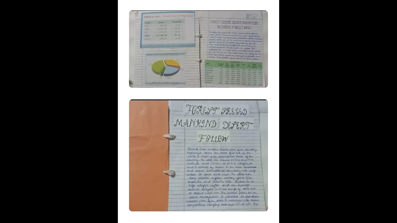 Forest Precedes Mankind Dessert Follow Project English Project class forest-precedes-mankind-dessert-follow-project-english-project-class