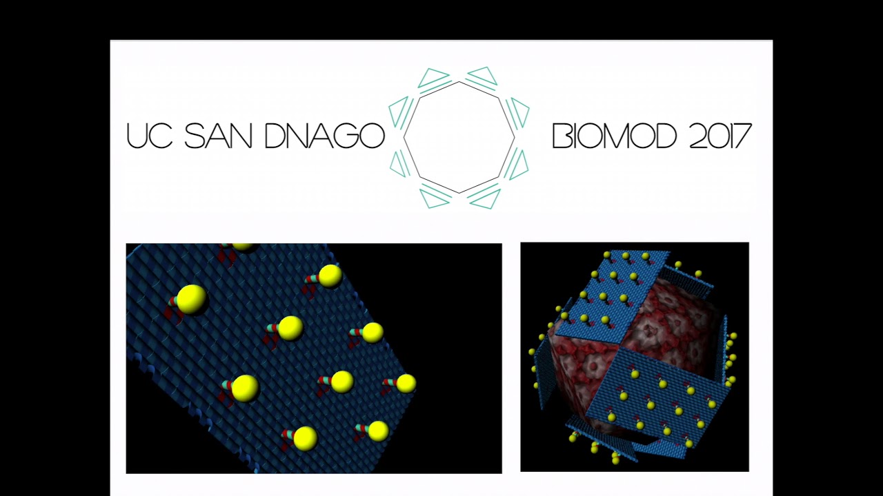 Biomod 2017 - Team San DNAgo - Viral-loaded DNA Origami for Cancer ...