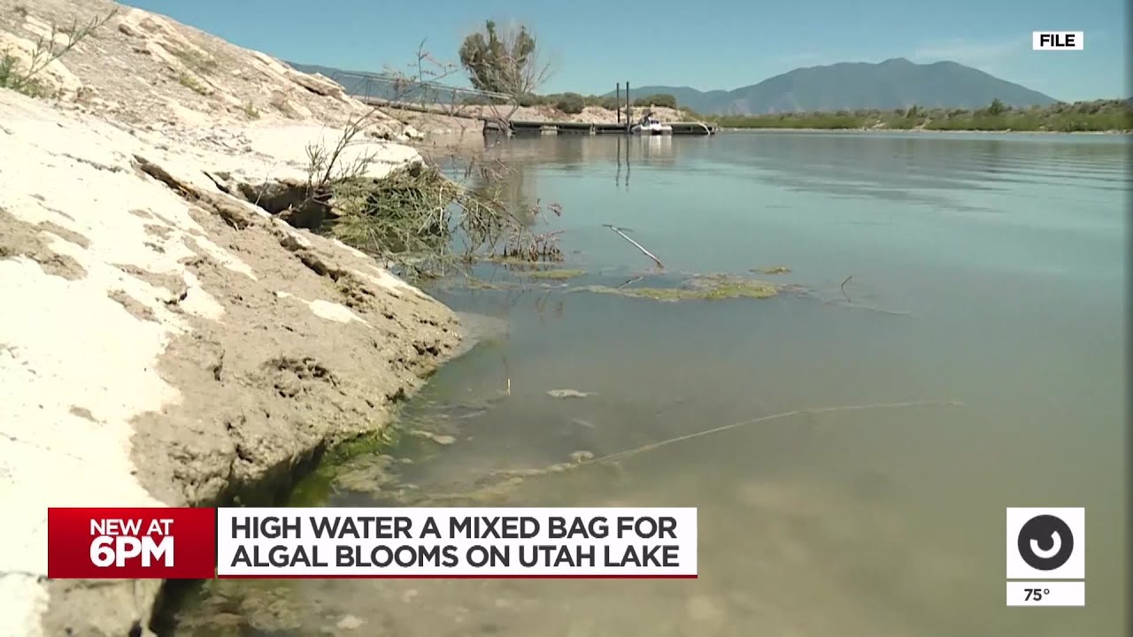 High runoff is both good and bad news for algal blooms on Utah Lake ...