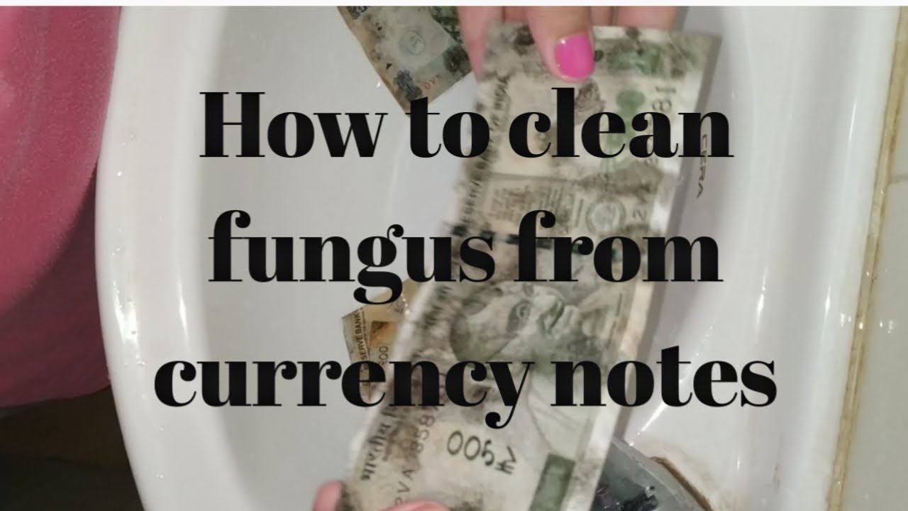 Washing fungus of currency notes with soap ll see what happen??? - YouTube