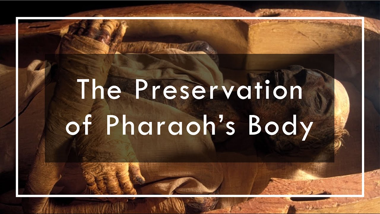 The Preservation of The Egyptian King Pharaoh Ramses II Body - YouTube