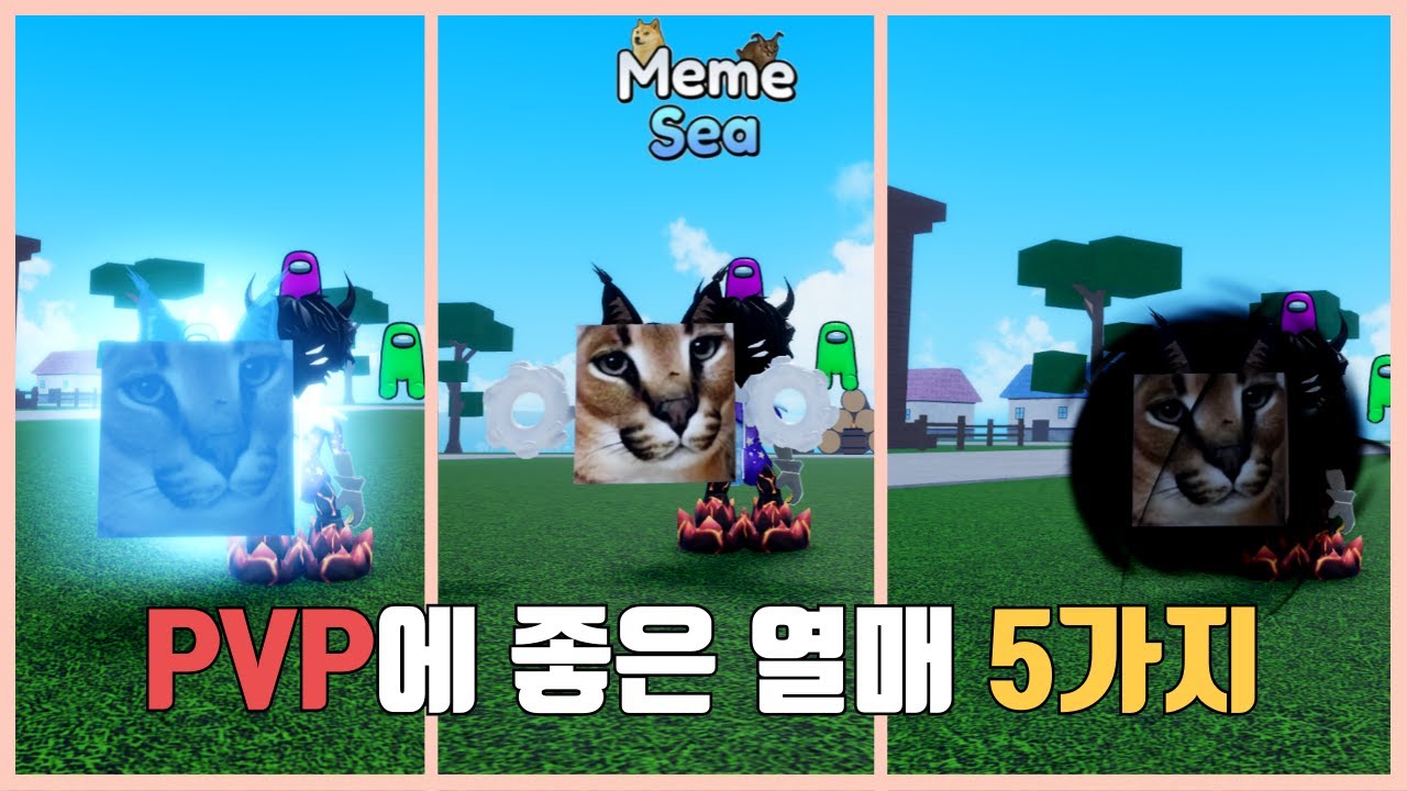 (Meme sea) 밈바다 랭커가 알려주는 피빕에 좋은열매 5가지! - YouTube