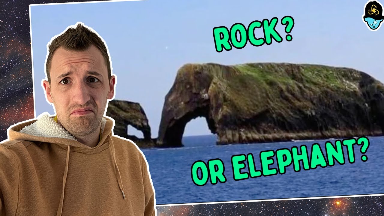 Giant Elephants That Turn Into Rocks!? - YouTube