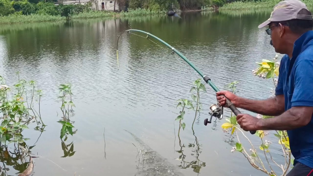 incredible-rohufish-catching-techniques-how-tilapia-fish-catching
