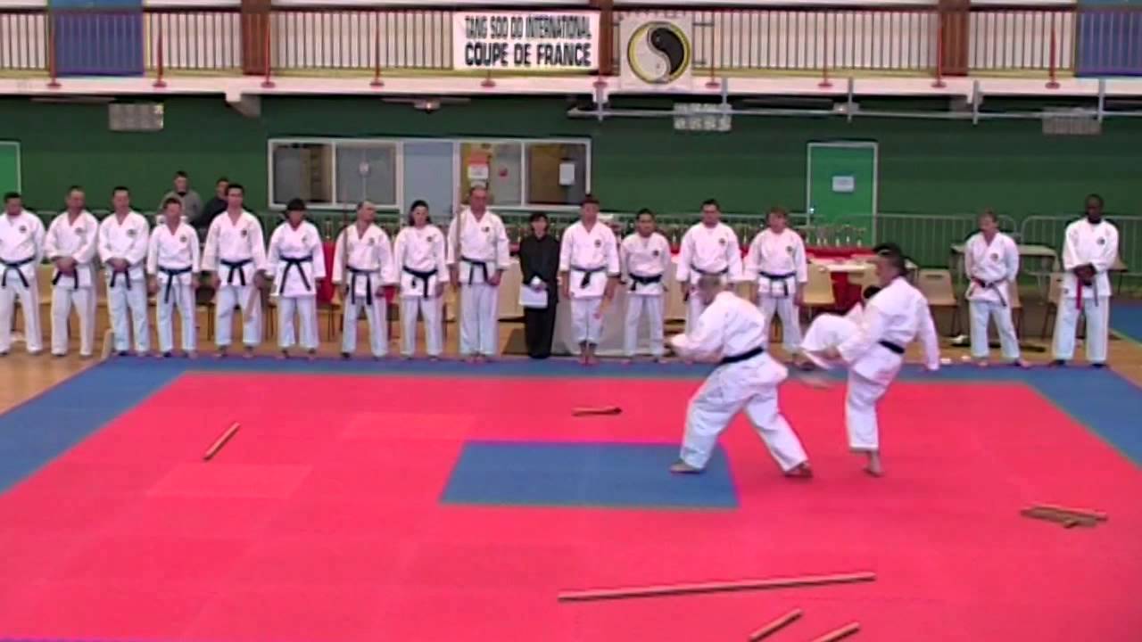 Sensei Sorkos Dimitris - Shorinji Ryu Karate & Kobudo - Paris, France ...