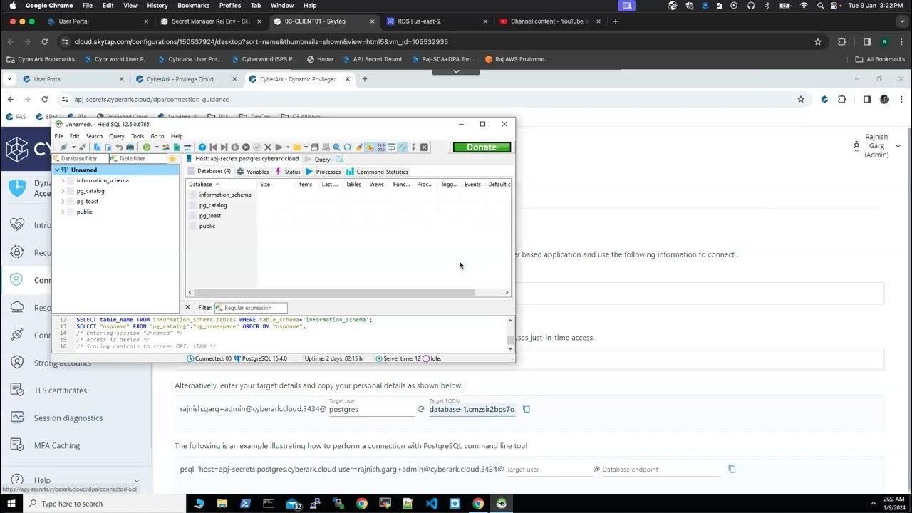 Securing Database Access: DPA Vaulted Account Approach with Native ...