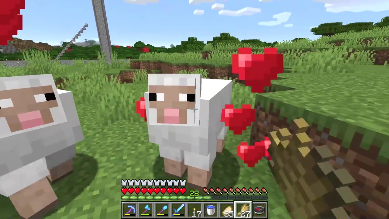 Ultimate Sheep guide - Minecraft - YouTube