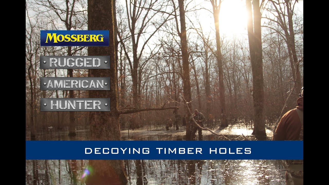 Duck Hunting Flooded Timber And Duck Hunting Decoy Tips. How To Hunt ...