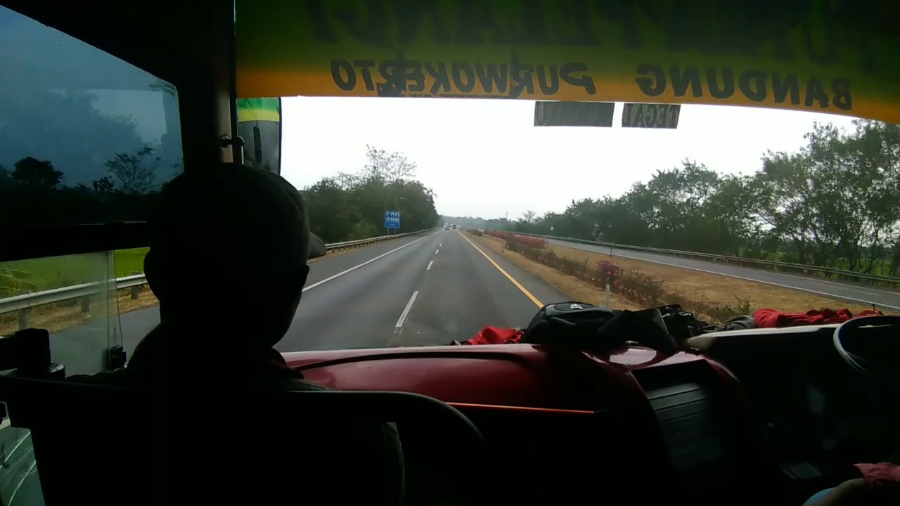 Indahnya Bunga-Bunga Di Tol palikanci - YouTube