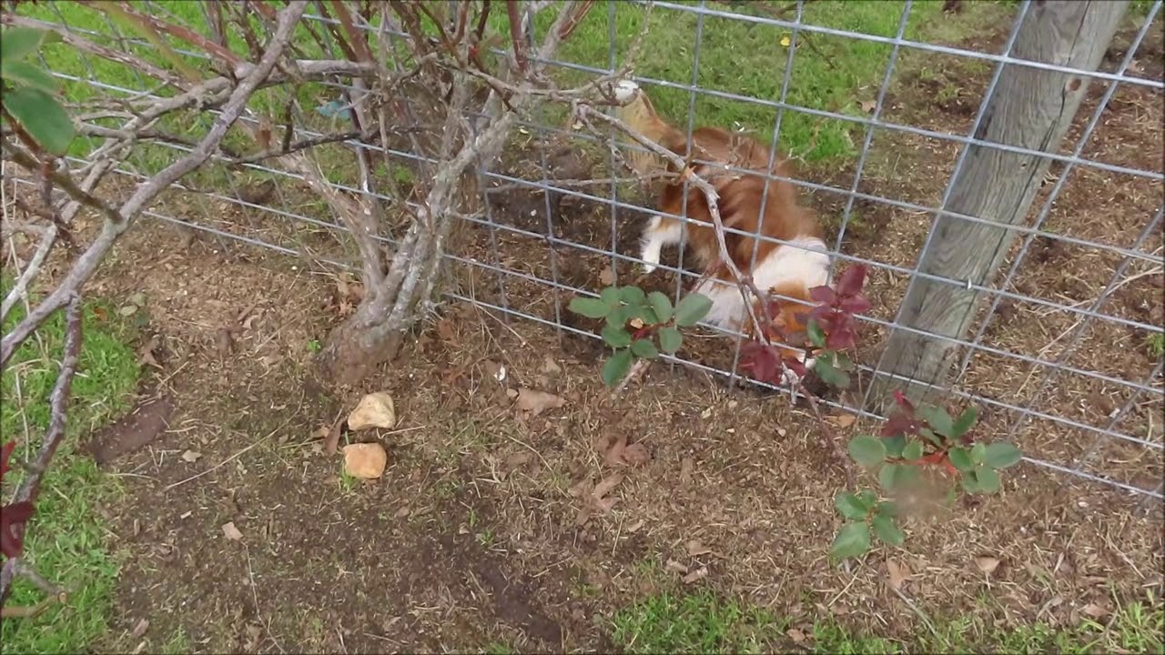 Rock Hunting - YouTube